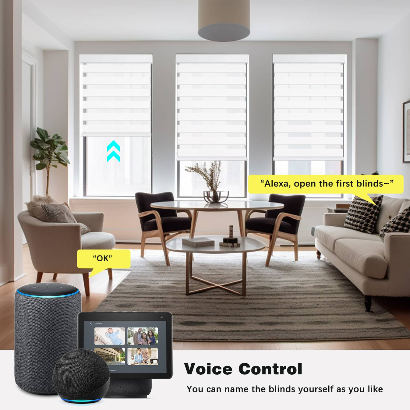 Smart Blackout Zebra Roller Blinds & Alexa IKEA SmartThings Motorized ...